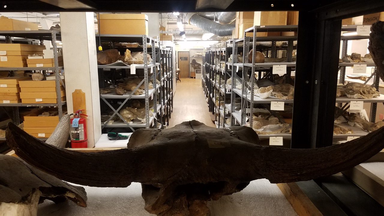 University of Nebraska State Museum - Only in Nebraska